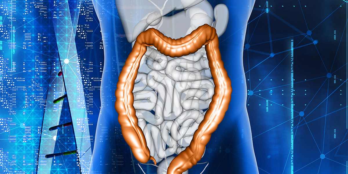 Microbioma humano y enfermedades autoinmunes: - Osteohealth